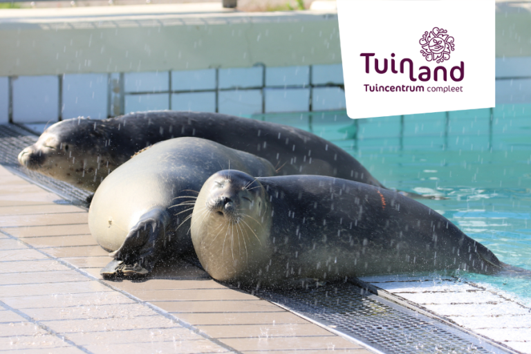 Tuinland - Stichting Zeehondencentrum Pieterburen